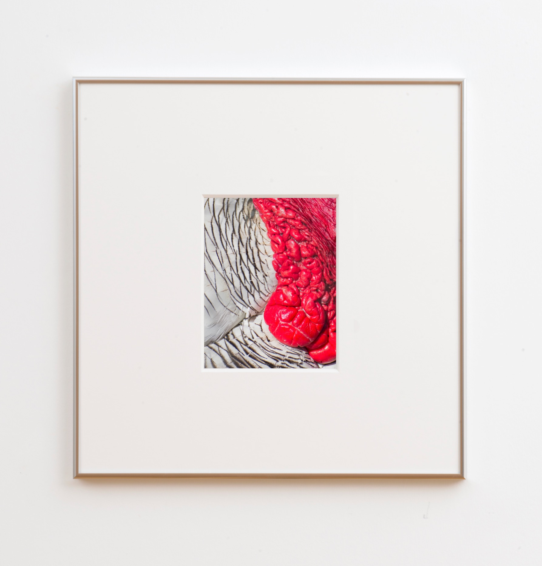 DOCUMENT – NADA New York 2023 – New Art Dealers Alliance